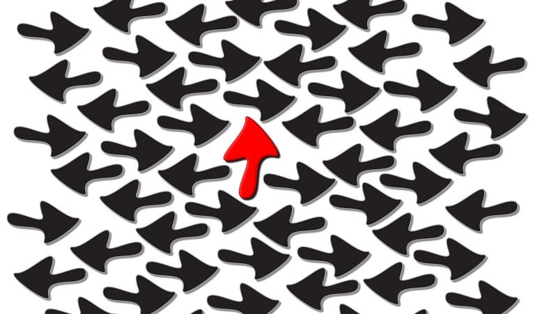 5 Ways To Deal With Poor Concentration