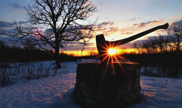 Why Successful People Always Have Time For Exercise: Sharpening The Axe