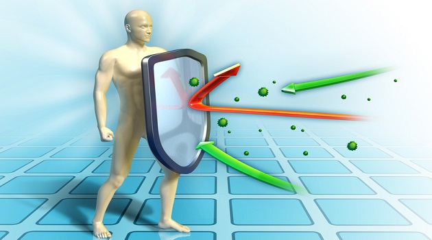 How To Boost Your Immune System: 9 High Nutritious Foods