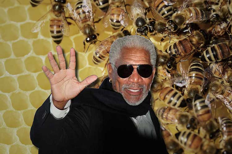 Morgan Freeman Changed His 124 Acre Ranch Into A Bee Sanctuary To Help ...
