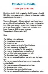 Can You Solve Albert Einstein's Riddle? 98% Of The People In The World ...