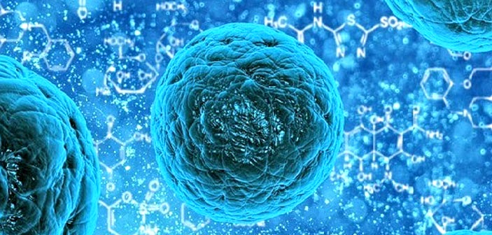 Your Cells Are Listening! Here Is How Talking To Your Body Can Help You ...