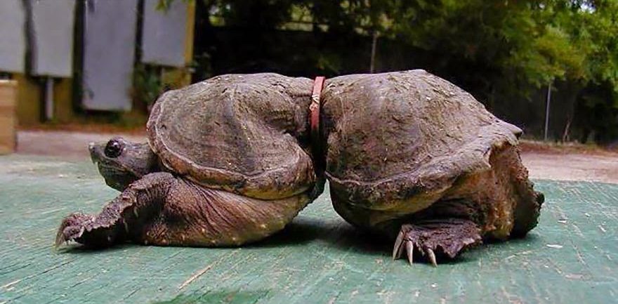 After You See These Disturbing Photos You Will Want To Recycle Everything!