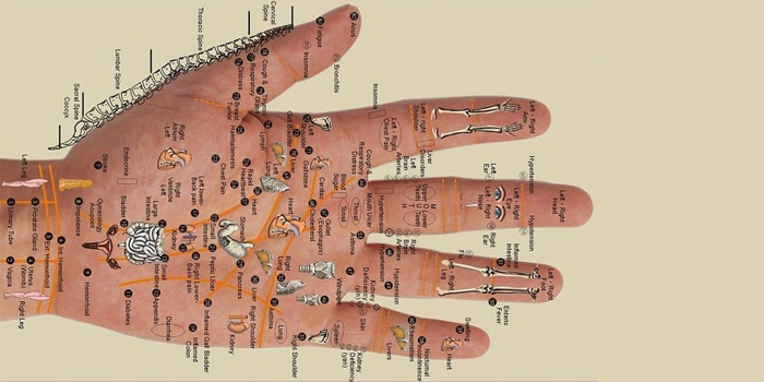 It's All In The Palm Of Your Hand! Press These Points For Wherever You Hurt