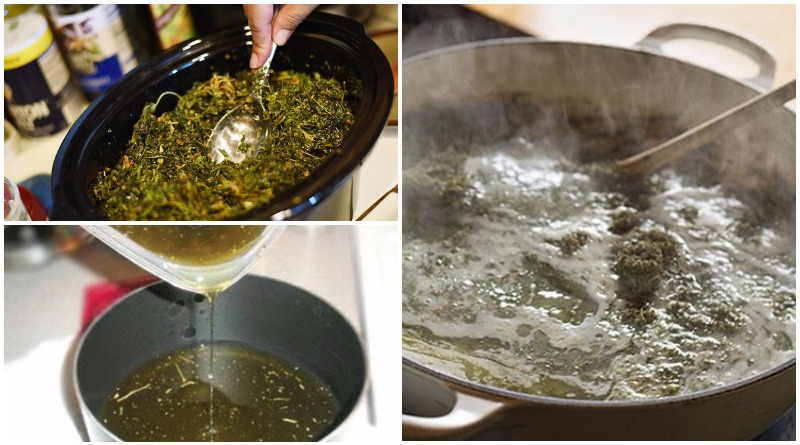 THIS Is The Homemade Cannabis Oil Recipe That People Are Using As A ...