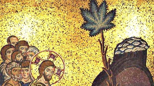 Jesus Was An AVID Cannabis User And Used The "Anointing Oil" To Heal ...