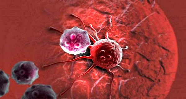 Medical Breakthrough: ANY Type of Cancer Can be Cured in Just 2-16 Weeks!