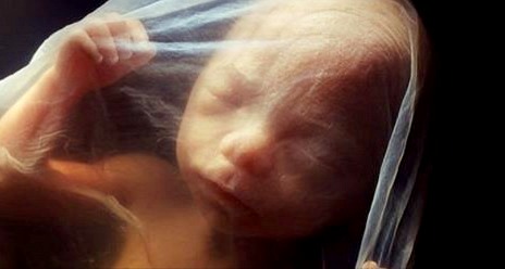 Artist Spent 12 Years Photographing A Fetus Growing In The Womb – This ...