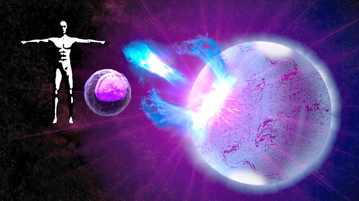 Scientists Found Shocking Similarity Between Humans Cells And Neutron ...