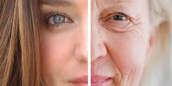 In A Shocking Discovery, Scientists Reverse Ageing Process! "Humans ...