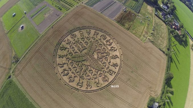 Newly Formed Crop Circle In the UK Amazes Researchers