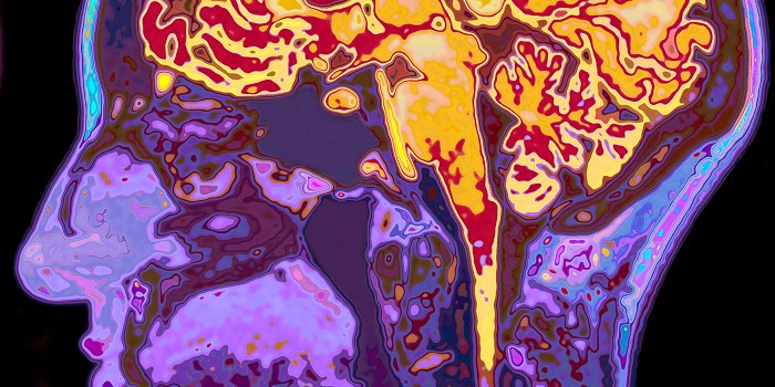 Science In Action: You Can Now DELETE Your Memories And Create New Ones ...