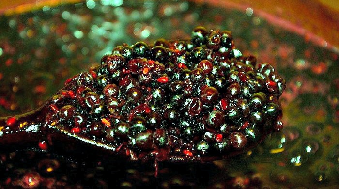 5 Powerful Herbs to Help Get You Through Flu Season (#2 Is The Most ...