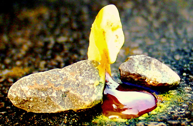 "Organic Sulfur" - This Ancient Mineral Completely Rebuilds Our Body ...