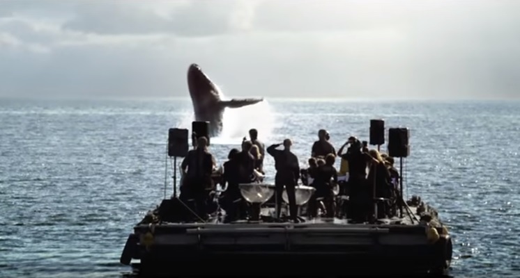 Orchestral Musicians Bring Whales To Surface – This Video Will Take ...