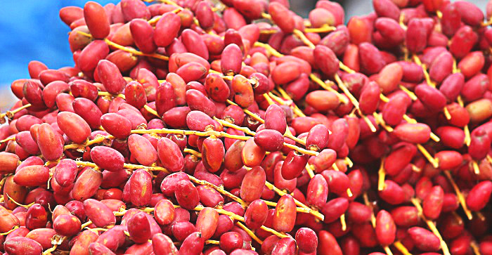 Dates May Be The Best Fruit In The Planet For Our Health!
