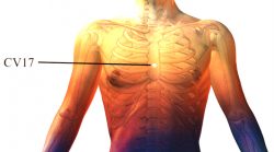 Press This Hidden 'Button' On Your Body To Relieve Your Stress ...