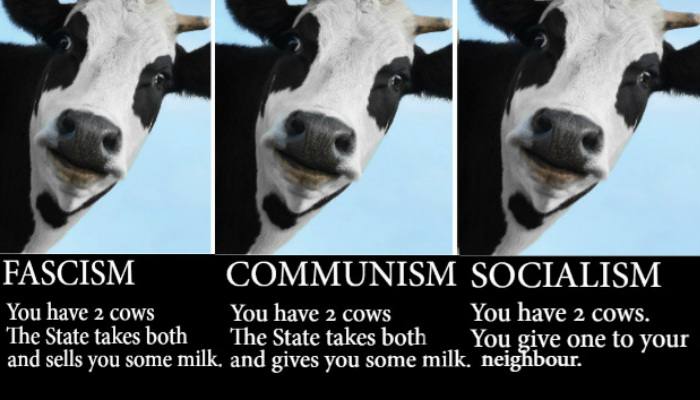 Two Cows Explain The World Economy Better Than Any Professor