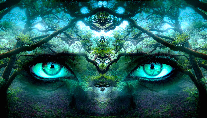 7 Spirit Poisons: Everyone Who Is Unhappy With Life Is Unhappy For ...