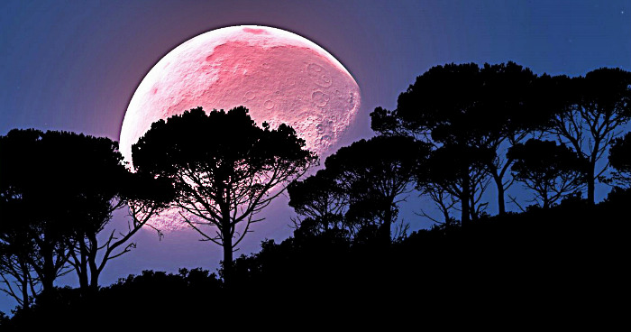 On January 31st The Moon Is Going To Do Something It Hasn't Done In ...